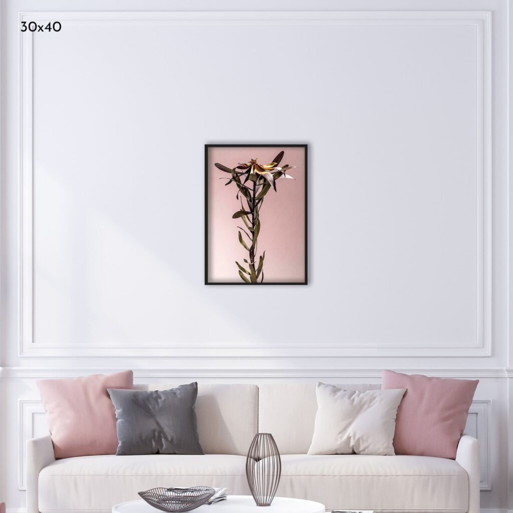 Fotografia fiore Leucadendro 3 - Cinquerosso Arte