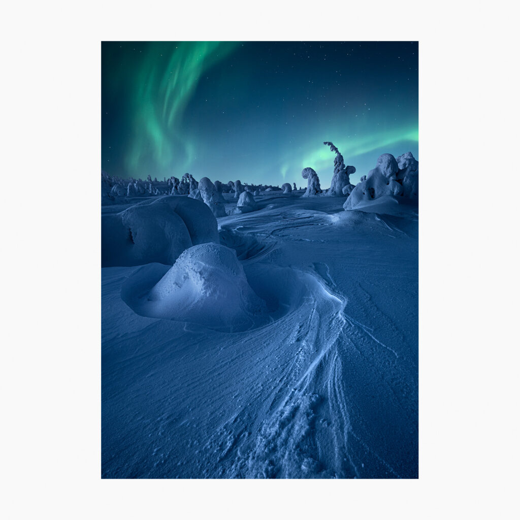 Shop All - Cinquerosso Arte